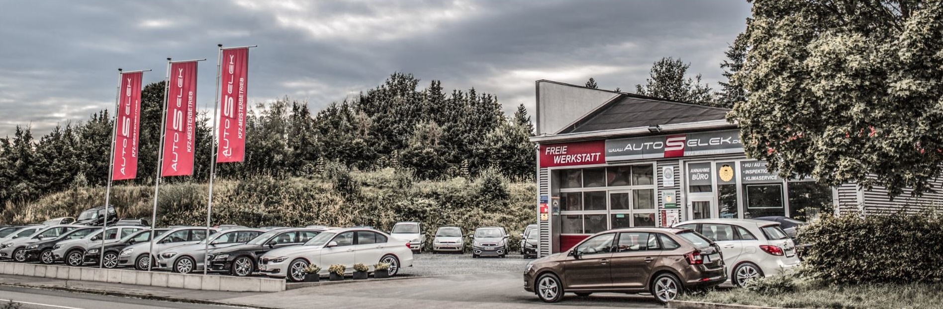 Auto Selek GmbH - Ihre Autowerkstatt in Neustadt, 96465